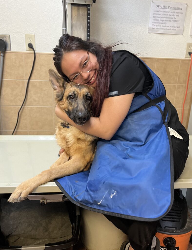 Home - Adobe Veterinary Clinic | Trusted Vet Care in Mesa, AZ